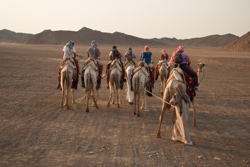 Camel caravan editorial stock photo. Image of natural - 19837838