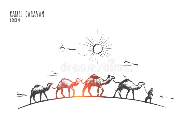 Camel Caravan Drawing