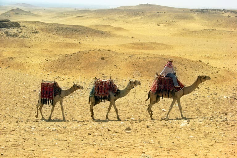 1,420 Egyptian Desert Caravan Stock Photos - Free & Royalty-Free Stock ...