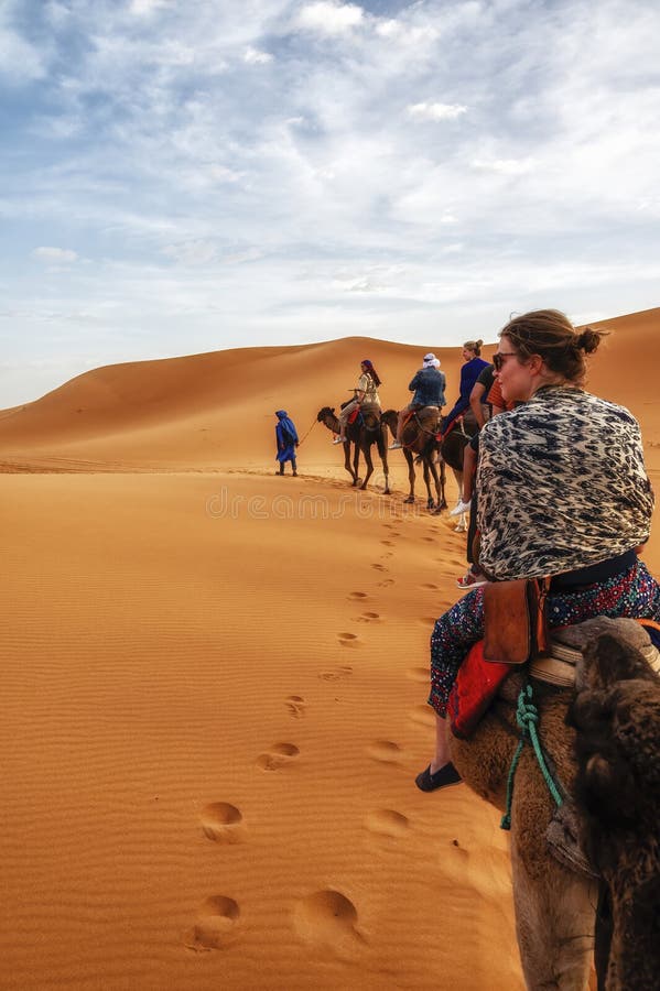 Camel Caravan Going through the Sand Dunes in the Sahara Desert ...