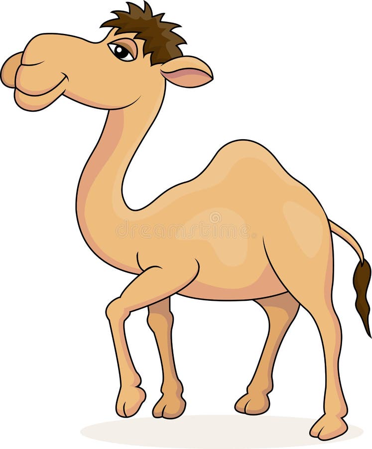 Cute camel cartoon stock vector. Illustration of face - 33242552