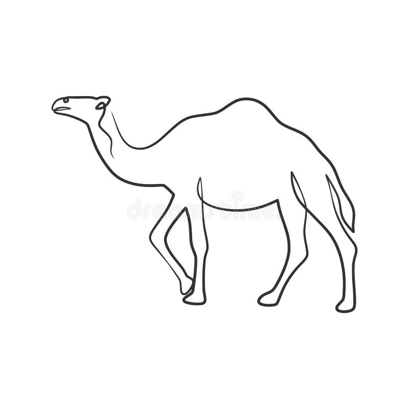 Camel Line Drawing Stock Illustrations – 1,180 Camel Line Drawing Stock ...