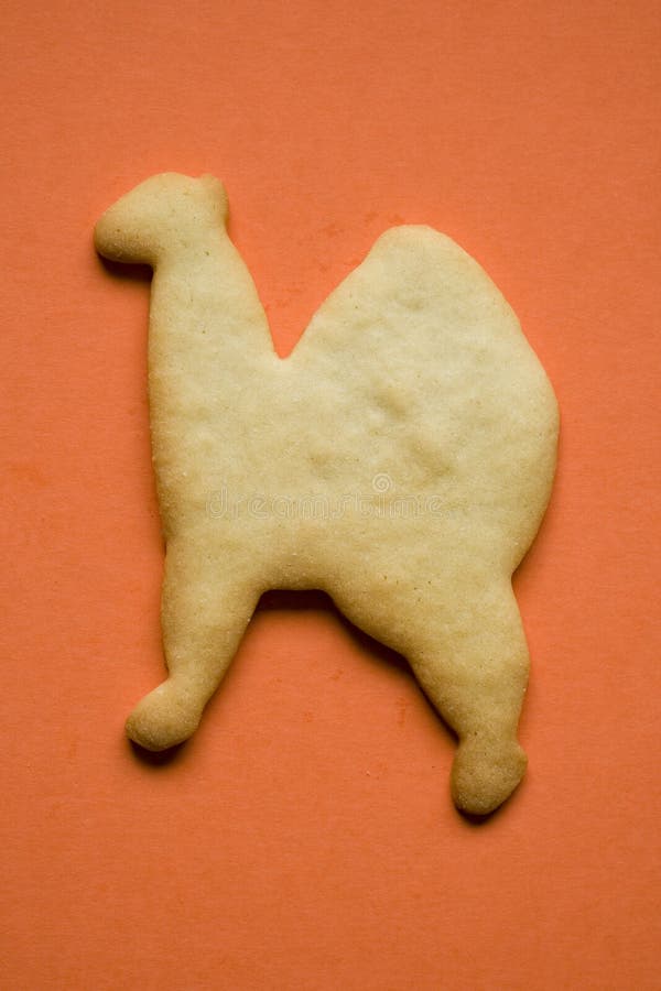 Camel Cookie Against Orange Background Stock Photo - Image of biscuit ...