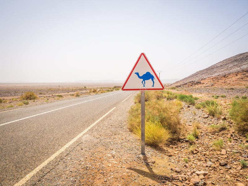 Camel Crossing Road Sign on the Road during the Daytime Stock Photo ...