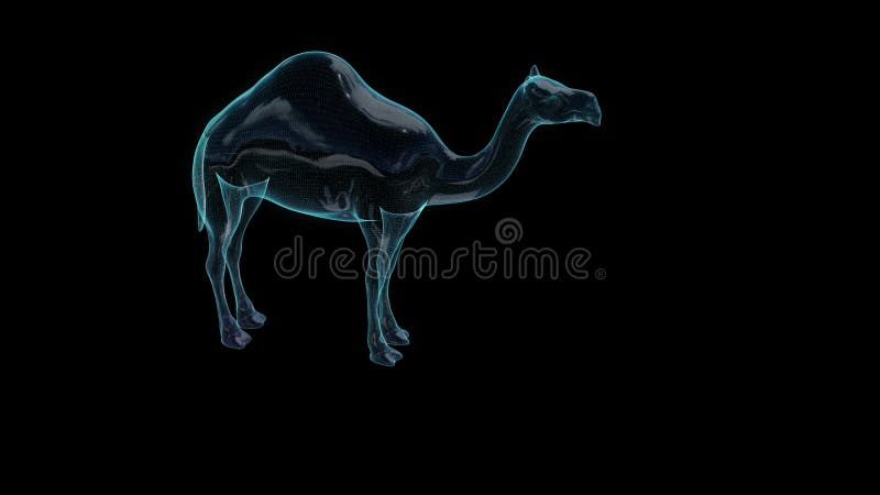 Camel 3d Model. Animal in Motion and Points Connected To Form Stock ...