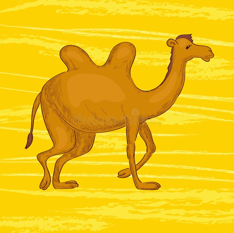 Camel stock illustration. Illustration of icon, africa - 36204827