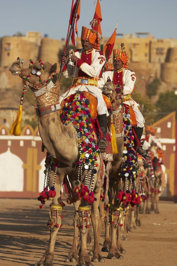 2+ Camels front old castle Free Stock Photos - StockFreeImages