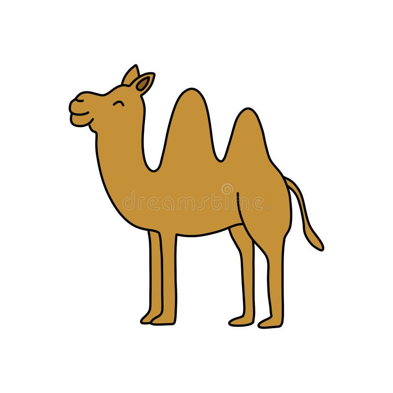 Camel doodle stock vector. Illustration of doodle, isolated - 64545106