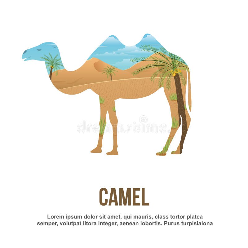 Camel Double Exposure stock vector. Illustration of wallpaper - 106751334