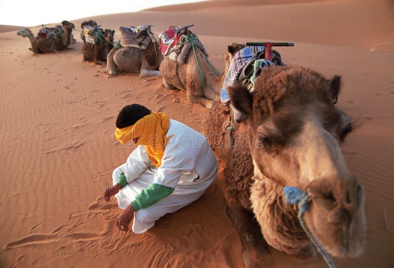 Camel driver editorial photography. Image of tourist, person - 9058977