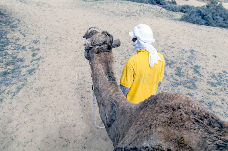 Camel driver stock image. Image of proffesions, jobs - 69958499