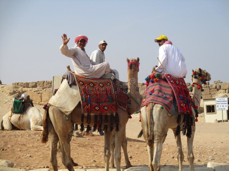Camel Drivers at Giza Plateau Egypt Editorial Photo - Image of waiting ...