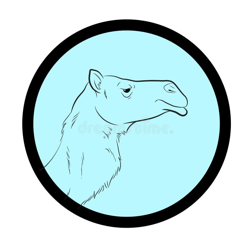 Camel Face Stock Illustrations – 3,489 Camel Face Stock Illustrations ...