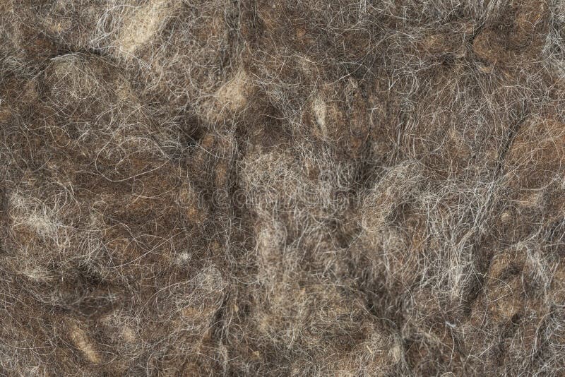 Camel Felted Wool Background Texture Stock Photo - Image of felt ...