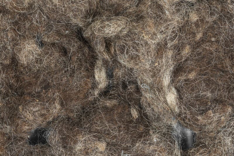 Camel Felted Wool Background Texture Stock Image - Image of felt, blank ...