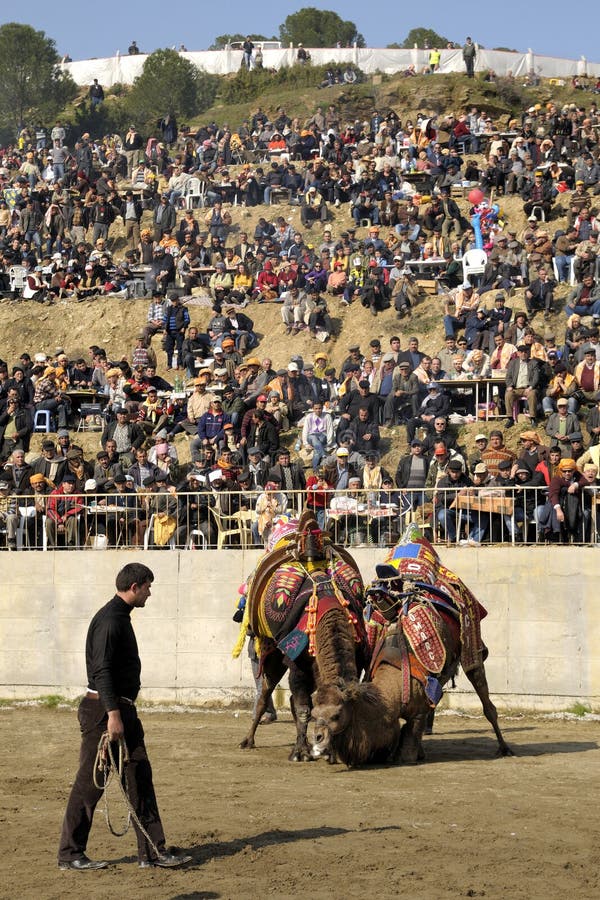Siena s palio horse race editorial photography. Image of riders - 5583577