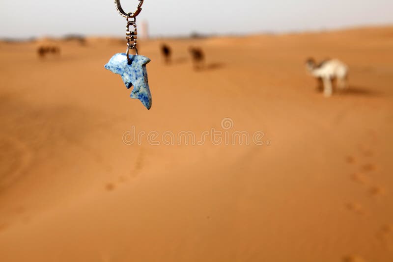 Camel and fish stock image. Image of isolated, fish, marble - 73221825