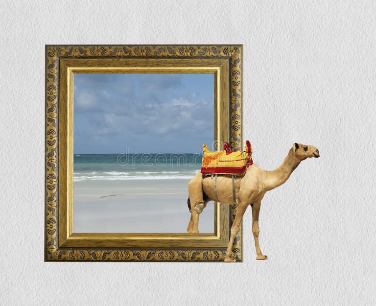 Cartoon Camel Frame Stock Photos - Free & Royalty-Free Stock Photos ...