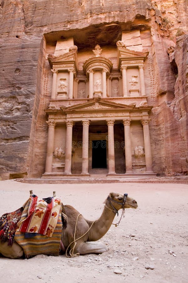 Camel in Front of Treasury Petra Jordan Stock Photo - Image of carve ... Camel in Front of Treasury Petra Jordan Stock Photo - Image of carve ...