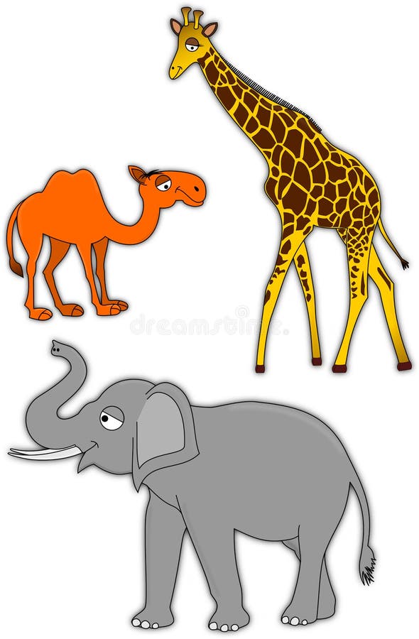 Camel, Giraffe And Elephant Royalty Free Stock Photography - Image ...