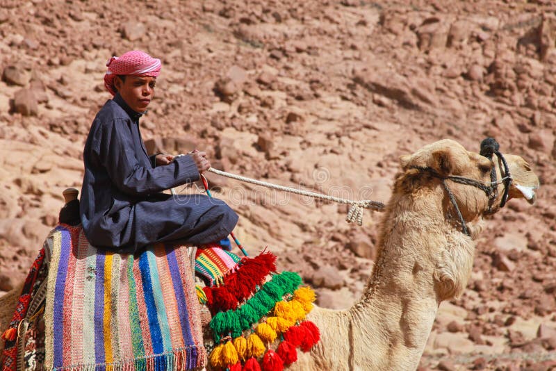 Camel Guide with Camel in the Desert Stock Photo - Image of berber ...