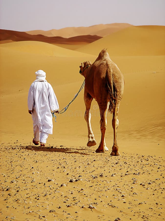 Camel Guide with Camel in the Desert Stock Photo - Image of berber ...