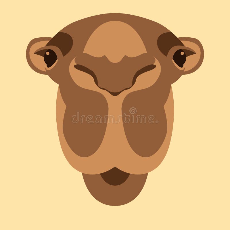 Camel Head Face Vector Illustration Flat Style Front Stock Vector ...