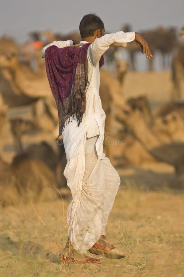 Man and Camel editorial photography. Image of rajasthan - 4418897