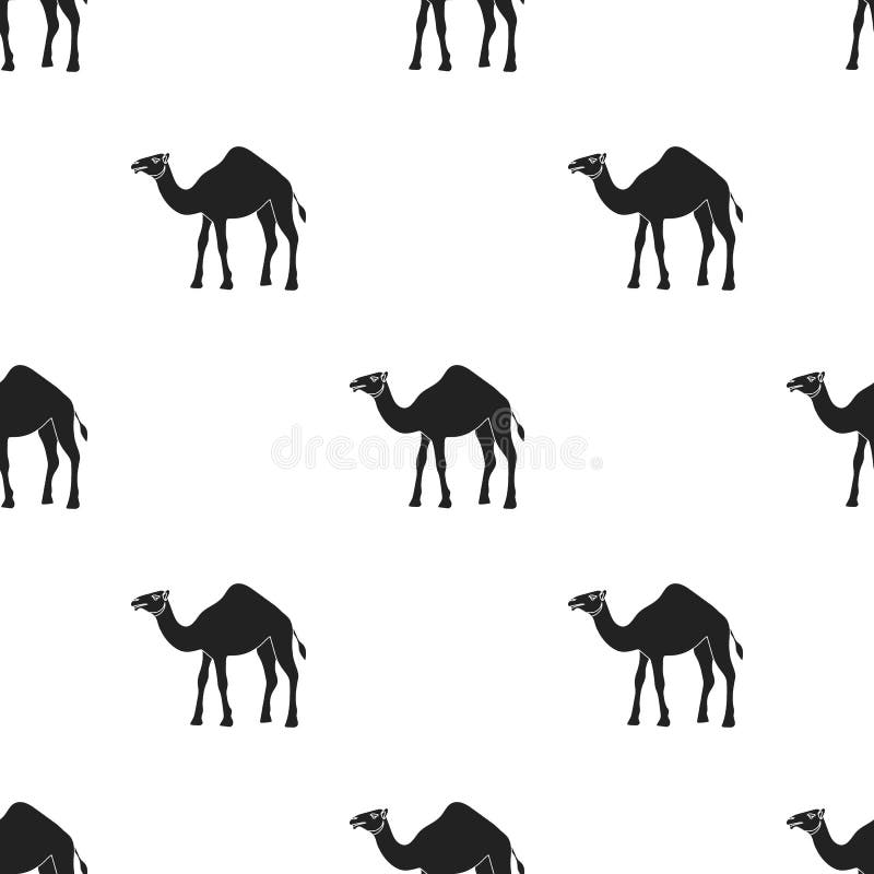 Camel Icon in Black Style Isolated on White Background. Arab Emirates ...