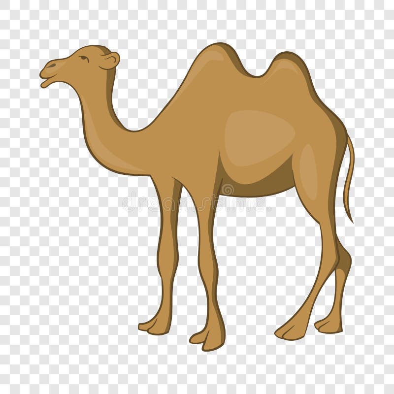 Camel icon, cartoon style stock vector. Illustration of alone - 145951162