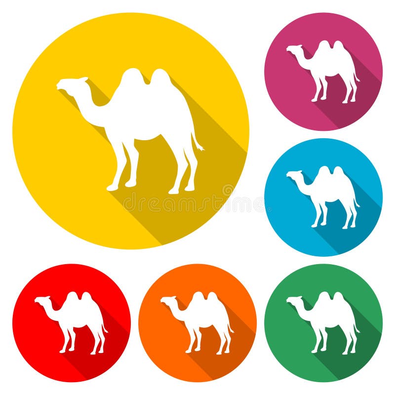 Camel Icon Flat Graphic Design - Illustration Stock Vector ...