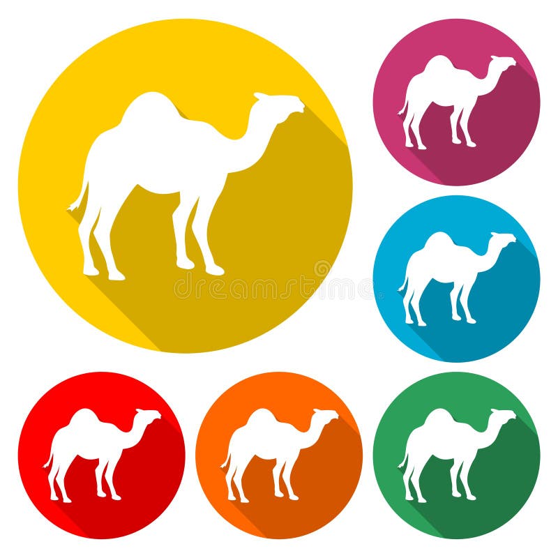 Camel Icon Flat Graphic Design - Illustration Stock Vector ...
