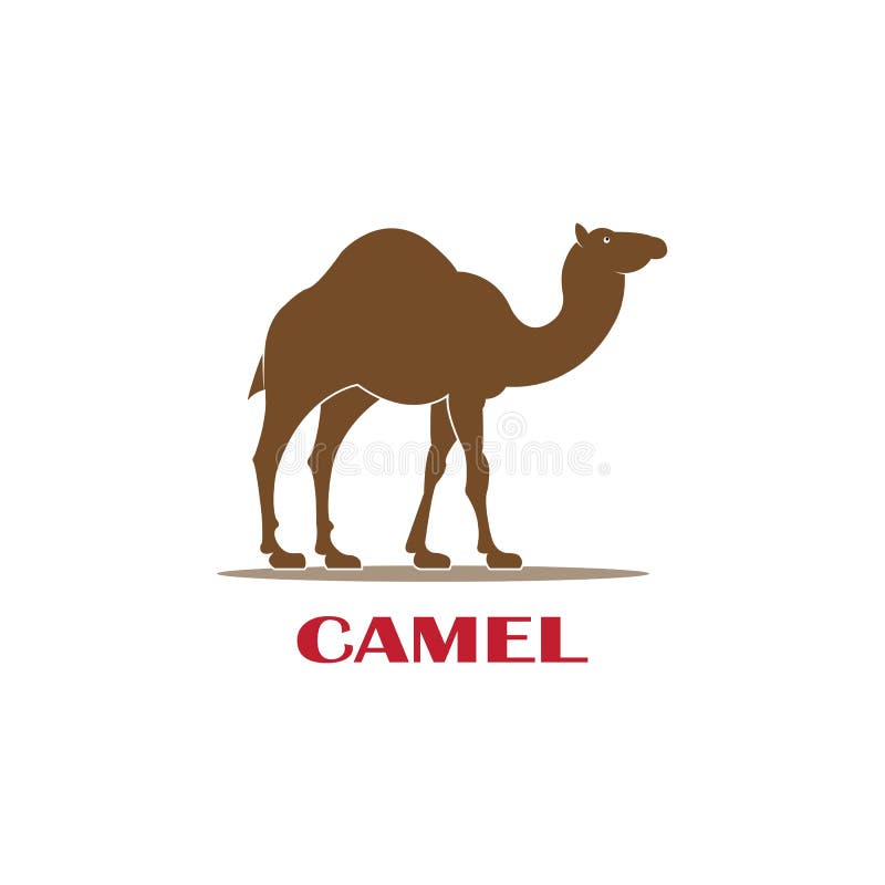 Camel Icon Logo Vector Design Stock Vector - Illustration of arabian ...