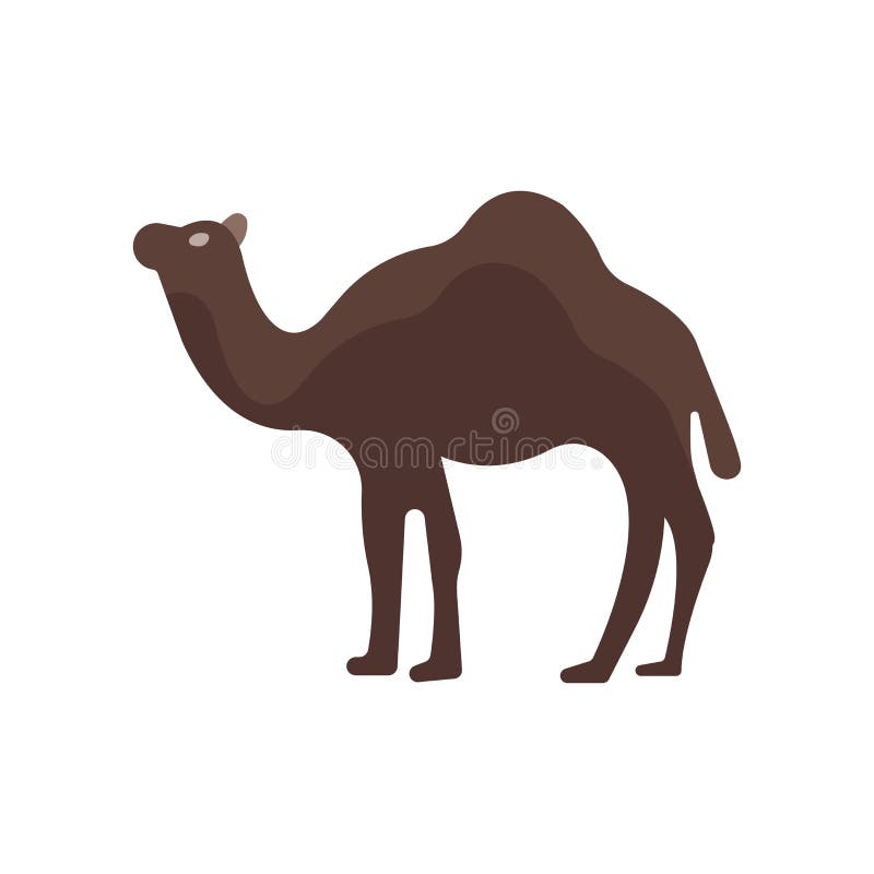 Camel Icon Vector Sign and Symbol Isolated on White Background Stock ...