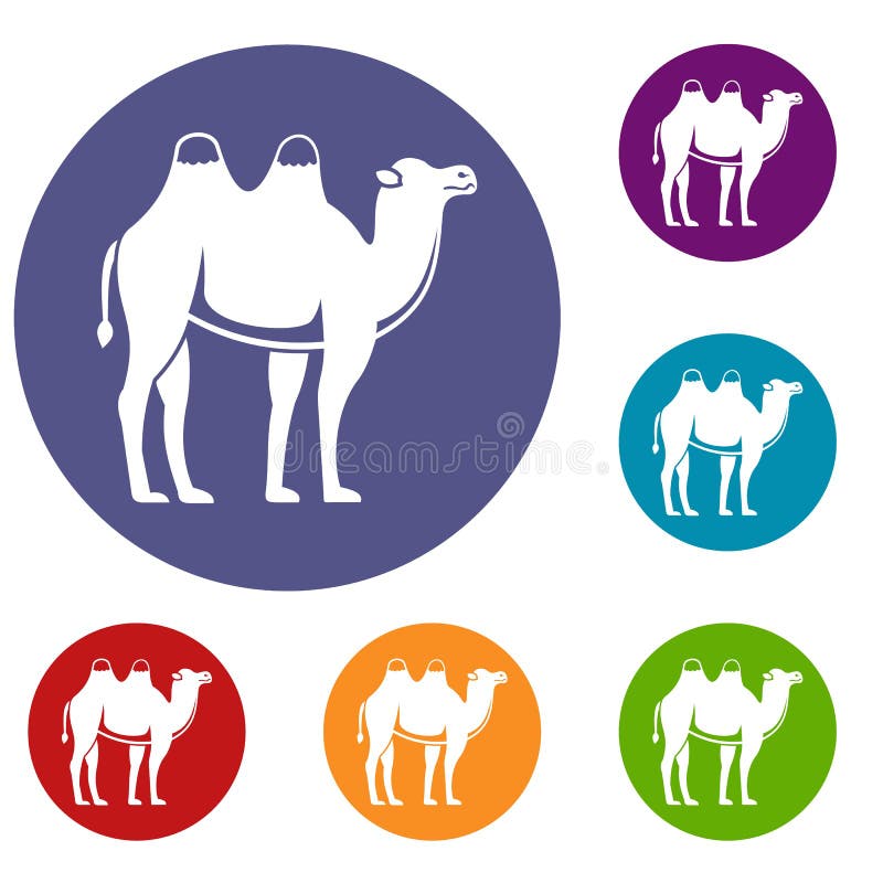 Camel Icons Set Vector Color Stock Vector - Illustration of desert ...