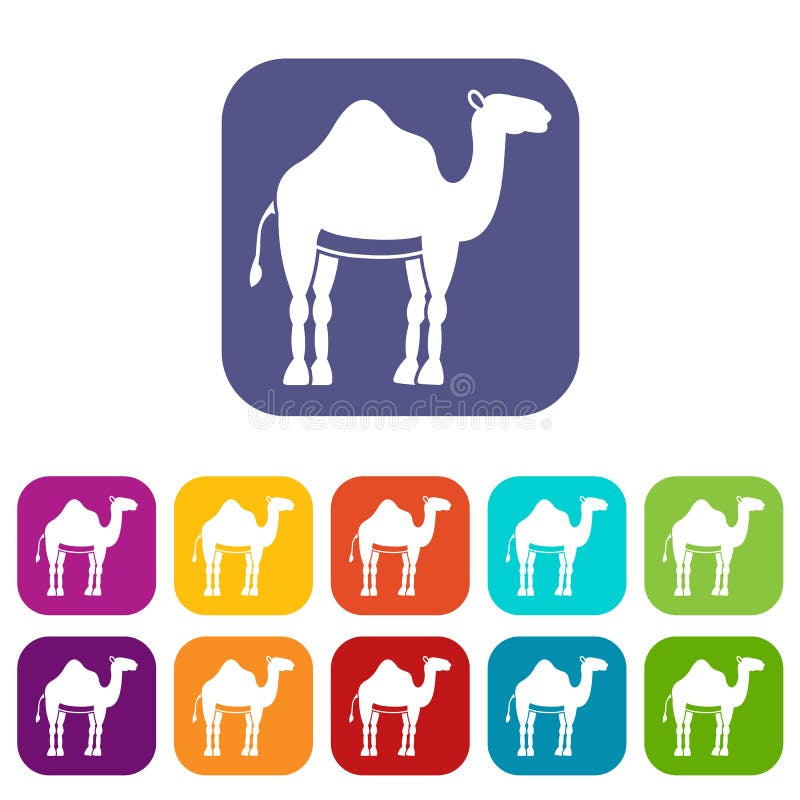 Camel icons set flat stock vector. Illustration of arab - 95551027