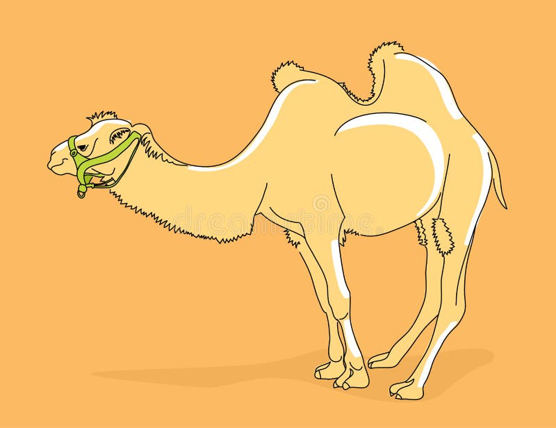 Cool Camel stock illustration. Illustration of dromedary - 41704