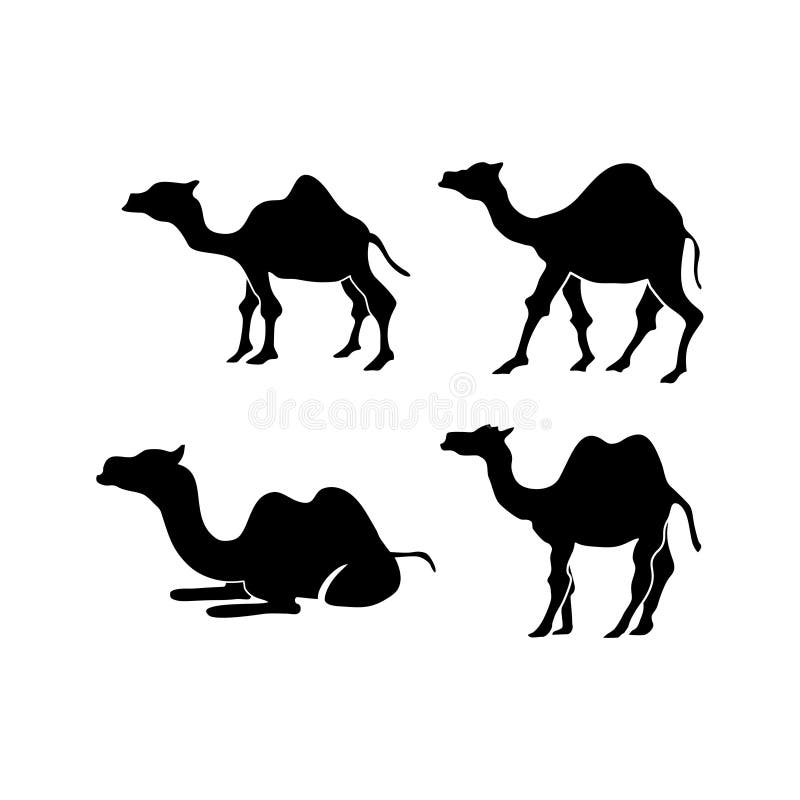 Camel Illustration Animal Vector Design Stock Vector - Illustration of ...
