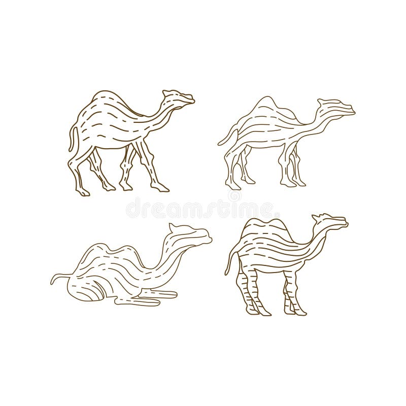 Camel Illustration Animal Vector Design Stock Vector - Illustration of ...