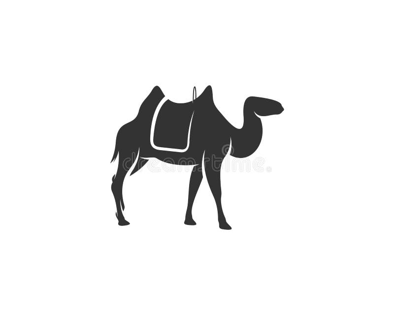 Camel Logo Vector, Animal Graphic, Camel Design Template Illustration ...