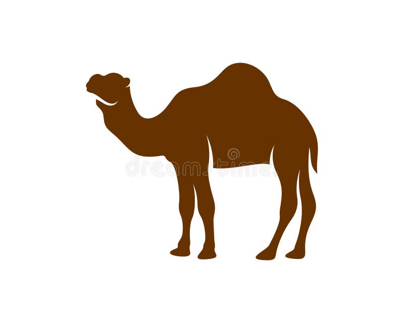 Camel Logo Vector, Animal Graphic, Camel Design Template Illustration ...