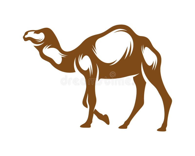 Camel Logo Vector, Animal Graphic, Camel Design Template Illustration ...
