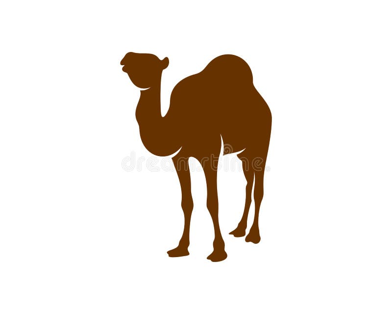 Camel Logo Vector, Animal Graphic, Camel Design Template Illustration ...