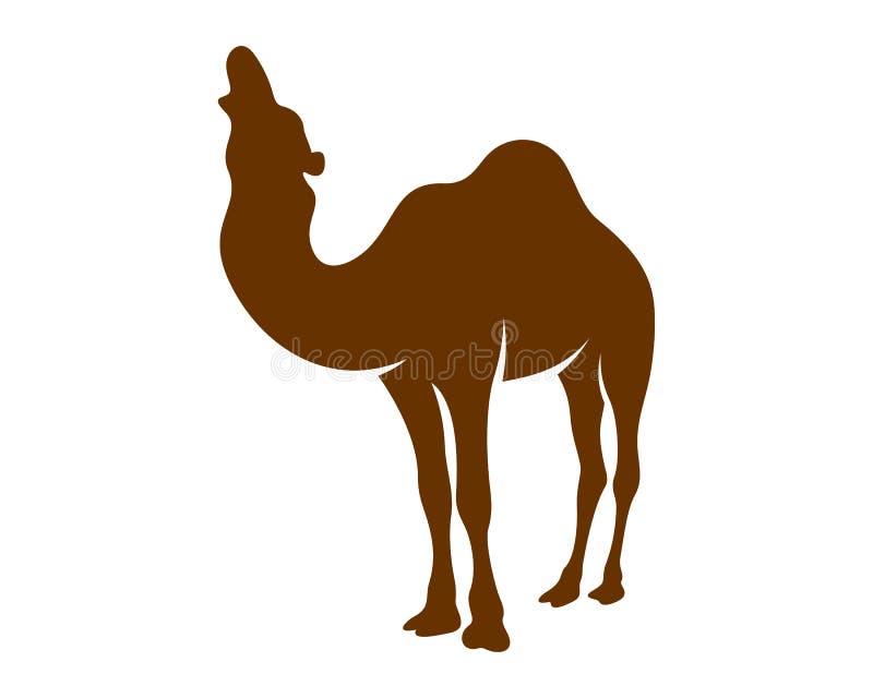 Camel Logo Vector, Animal Graphic, Camel Design Template Illustration ...