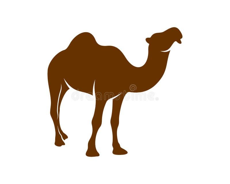 Camel Logo Vector, Animal Graphic, Camel Design Template Illustration ...