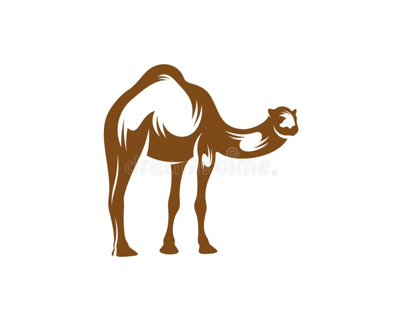 Camel Logo Vector, Animal Graphic, Camel Design Template Illustration ...