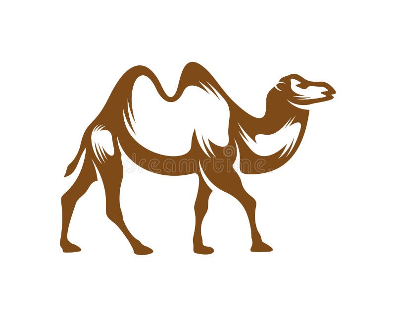 Camel Logo Vector, Animal Graphic, Camel Design Template Illustration ...