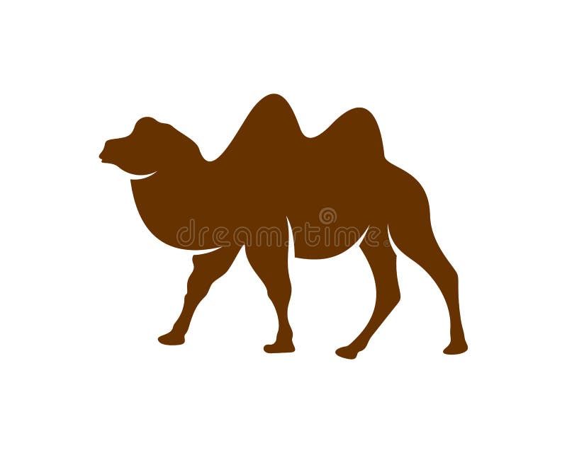 Camel Logo Vector, Animal Graphic, Camel Design Template Illustration ...
