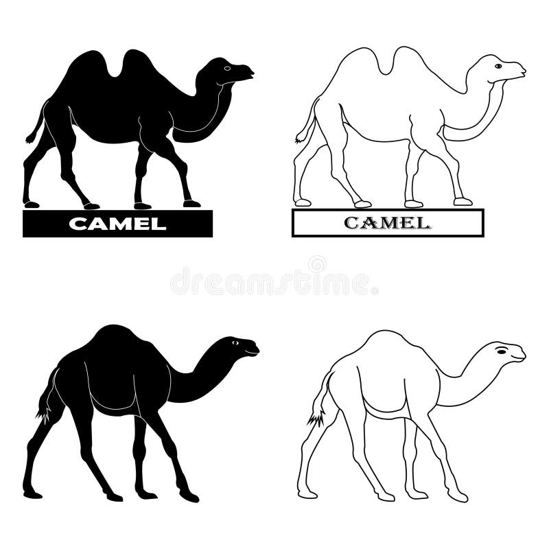 Camel logo stock vector. Illustration of animal, vector - 296136282