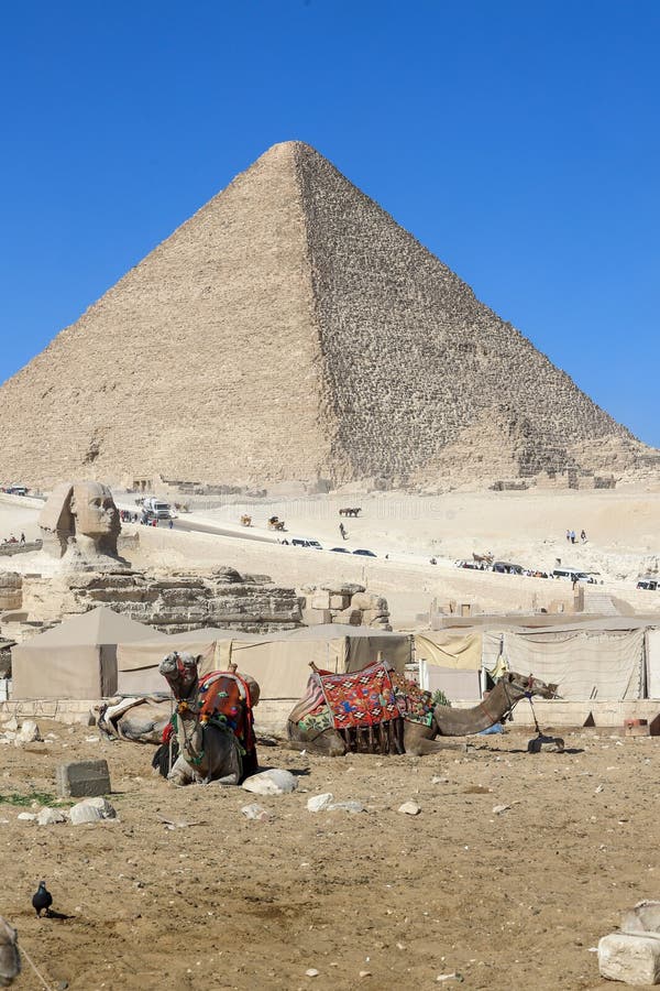 Egypt Pyramid Human Face Lion Stock Photos - Free & Royalty-Free Stock ...